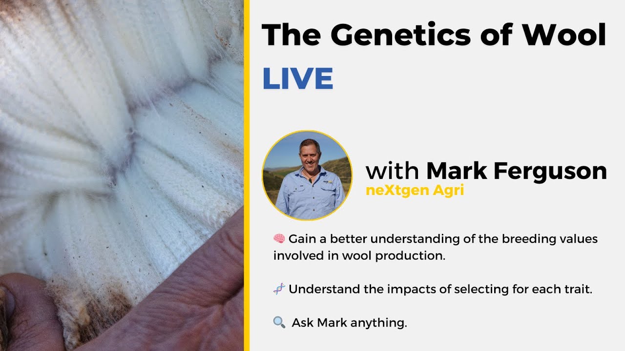 RECORDING: LIVE: The Genetics of Wool with Dr Mark Ferguson - YouTube