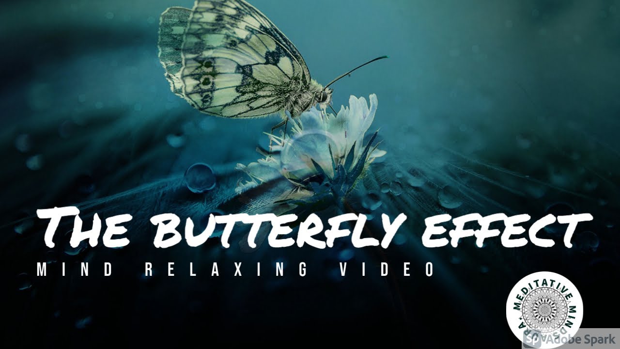 THE BUTTERFLY EFFECT , Elevate your vibration ,Positive Aura Cleanse ...