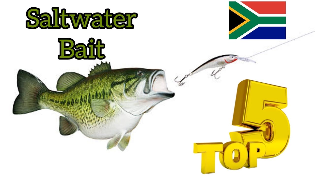 The Top5 saltwater bait used in south africa. This is the first YouTube ...