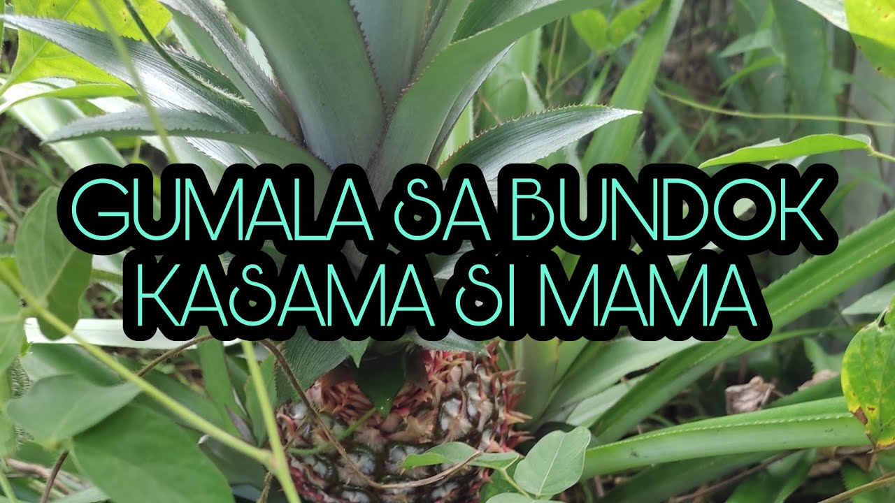 gumala sa bundok kasama si mama ll tara samahan niyo kami#marachannel ...