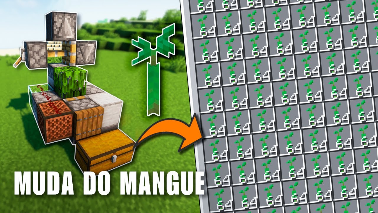 MANGROVE FARM - FARM de MUDAS do MANGUE! (Propágulo de mangue ...