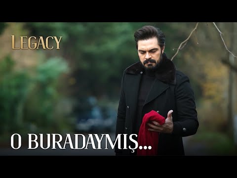 Yaman Seher'in izini buldu! | Emanet 315. Bölüm