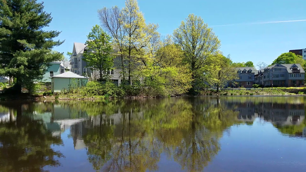 Butler's Pond - Spring 2019 - YouTube
