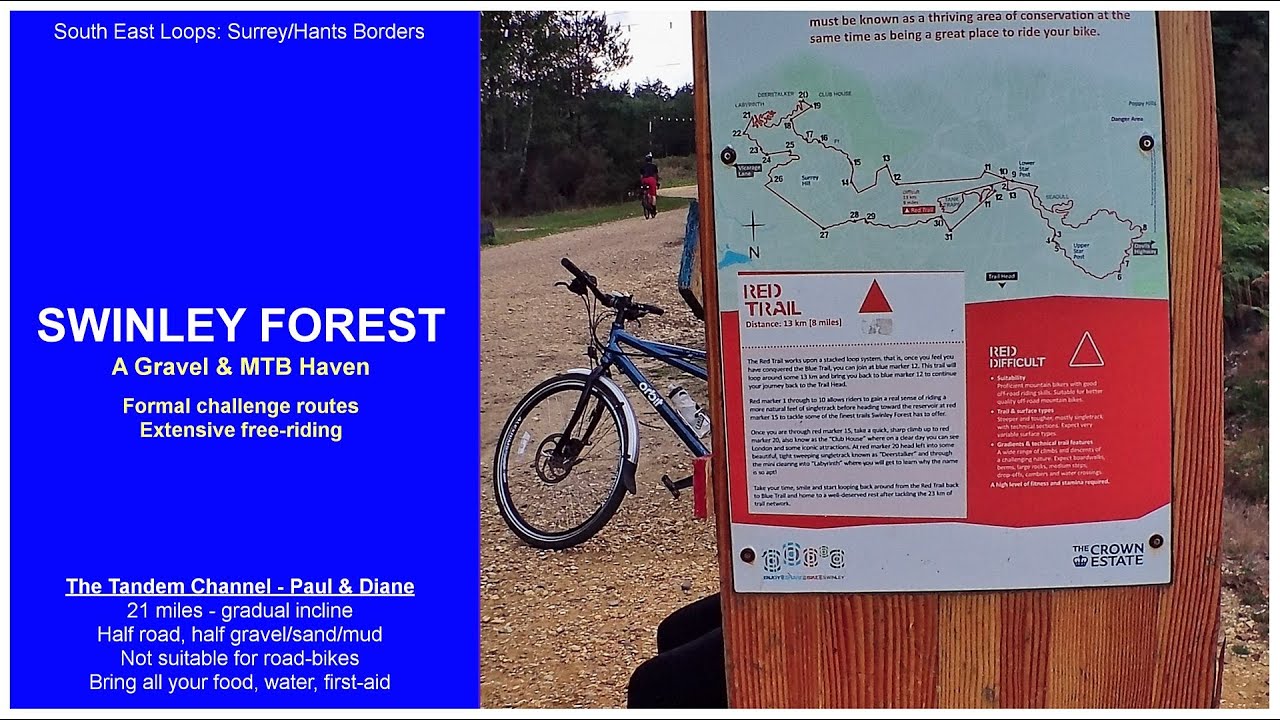 Cycle OFF-ROAD MTB HEAVEN: Swinley Forest for all-day hardcore riding ...