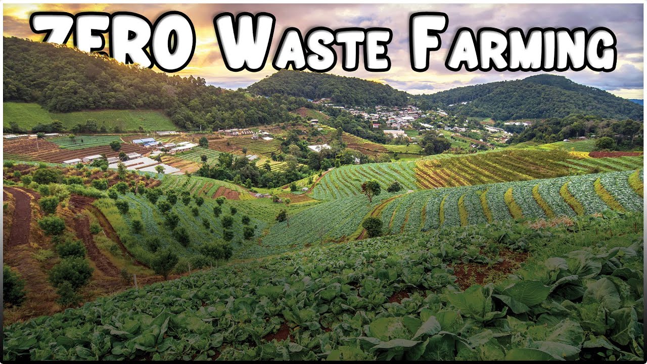 Zero Waste Farming System | Agricultural Waste Management Methods - YouTube