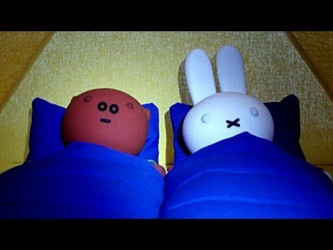 Miffy And Grunty Sleep In A Tent! | Miffy | Cartoons for Kids ...