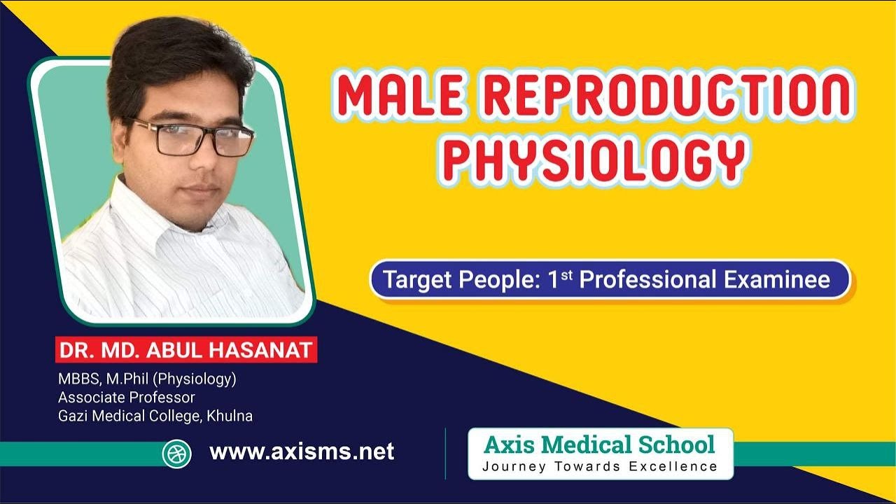 Physiology | Male Reproductive Physiology - YouTube