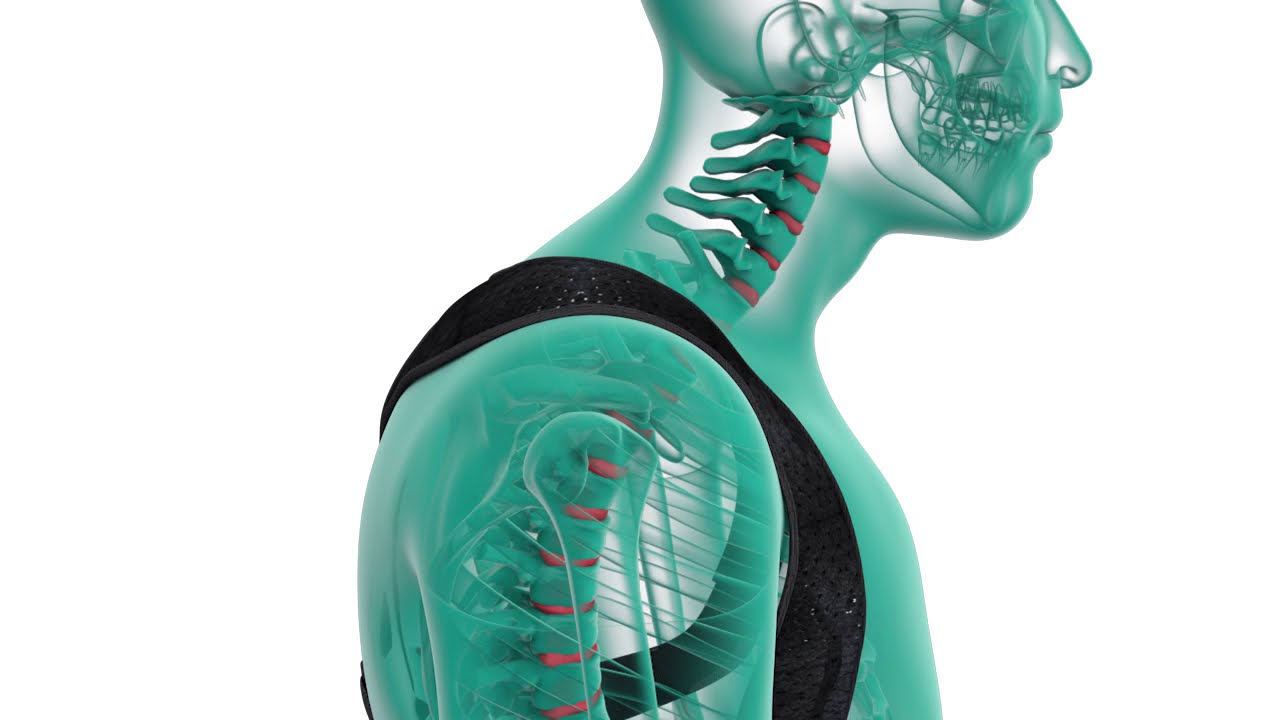 Posture Corrector 3D animation - YouTube