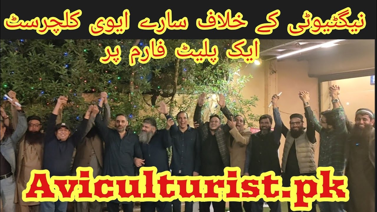 Great Effort By Aviculturist.pk|Bringing All Top Aviculturists Under ...