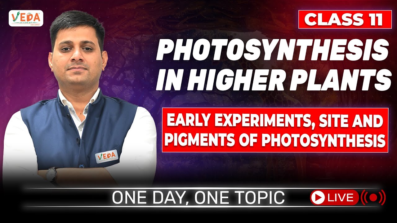 Early Experiments, Site and Pigments of Photosynthesis | Photosynthesis ...