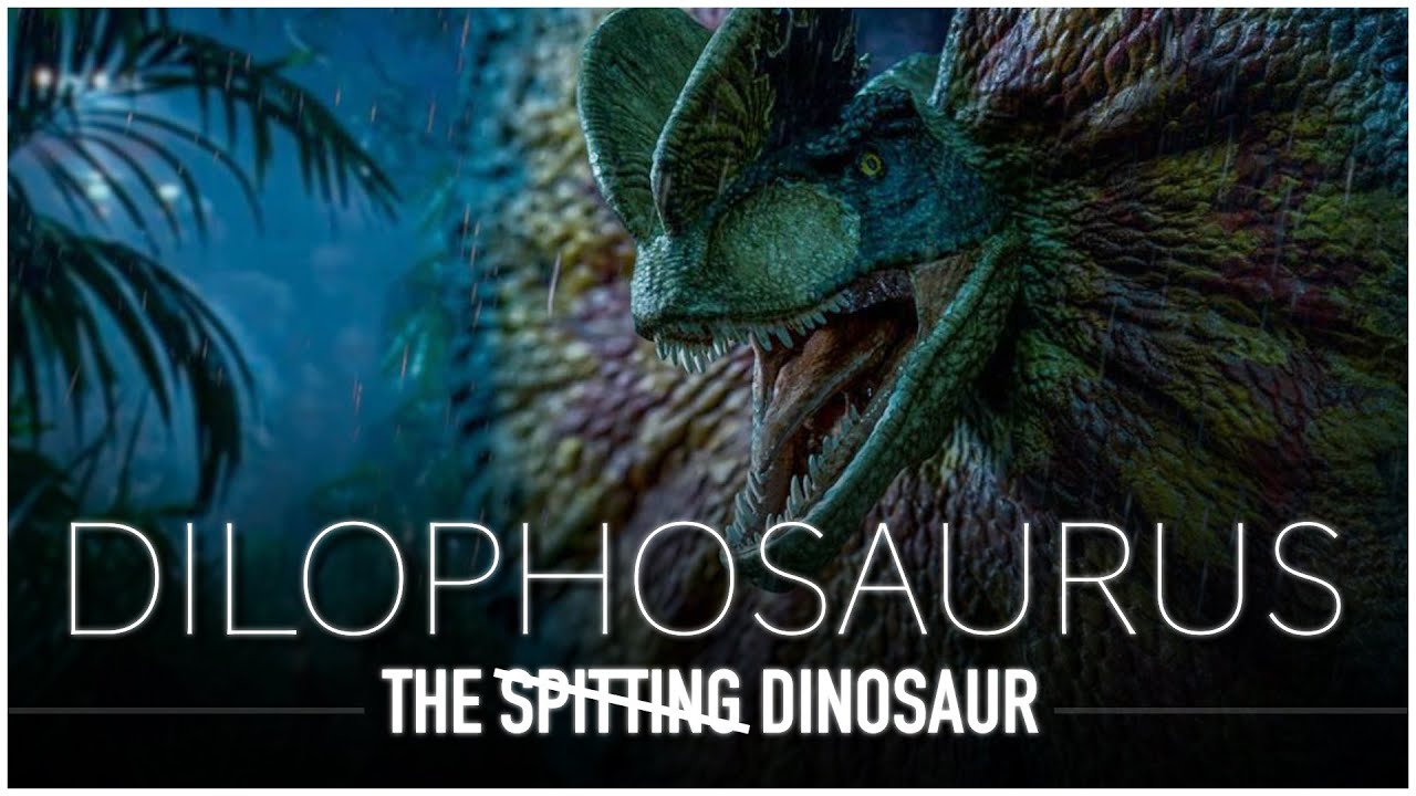 Dilophosaurus: The Most Misinterpreted Dinosaur of All Time | Dinosaur ...