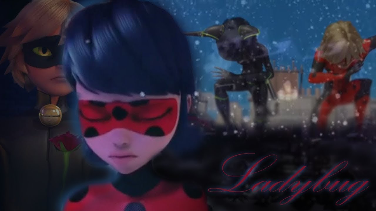 Ladybug || AMV - YouTube