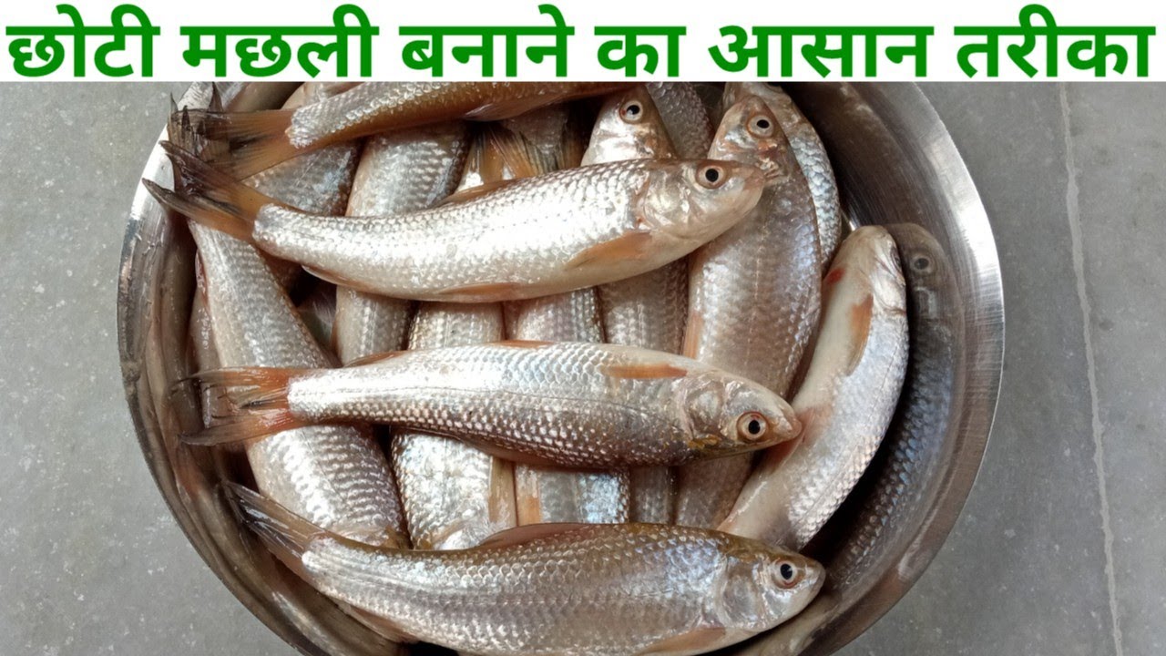 छोटी मछली बनाने का बहुत ही आसान तरीका हिन्दी में देखें/Machhali recipe ...
