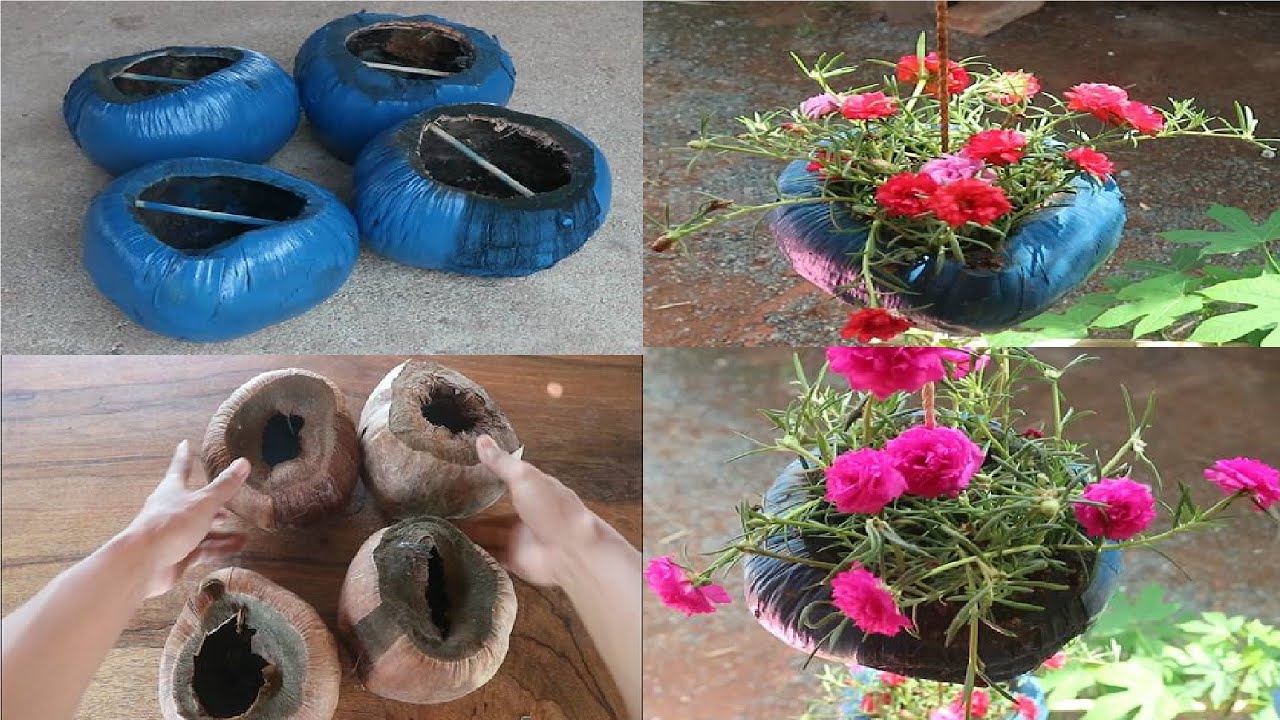 how to make coconut shell plant for flowers at home | moss rose pant ...