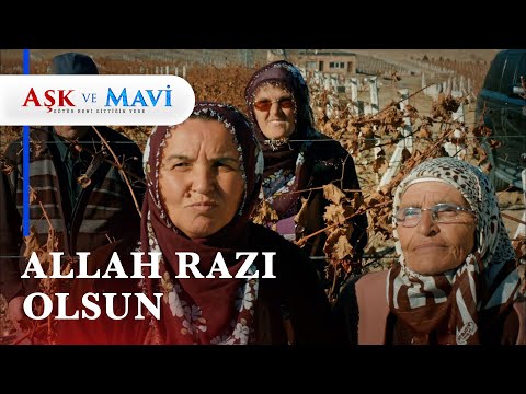 Köylüler, Ali sayesinde sigortalı oldu - Aşk ve Mavi 6. bölüm