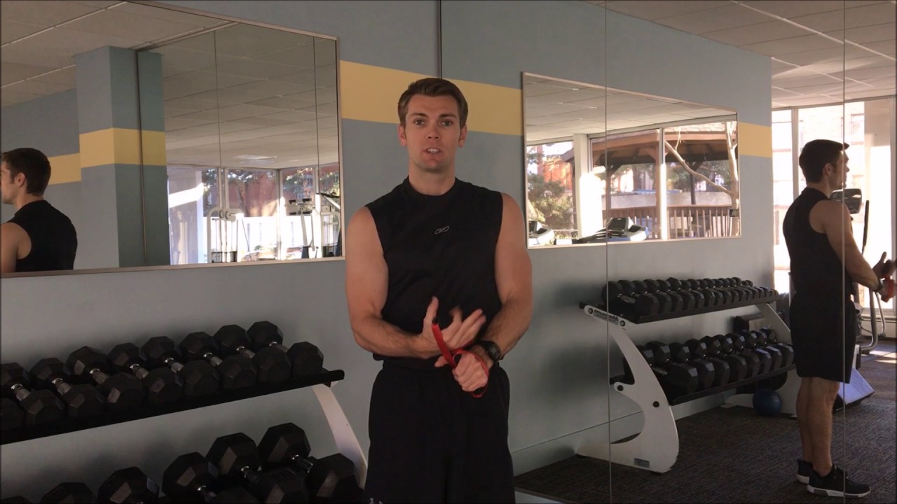 Iso Bow - Best Bicep Curl - YouTube