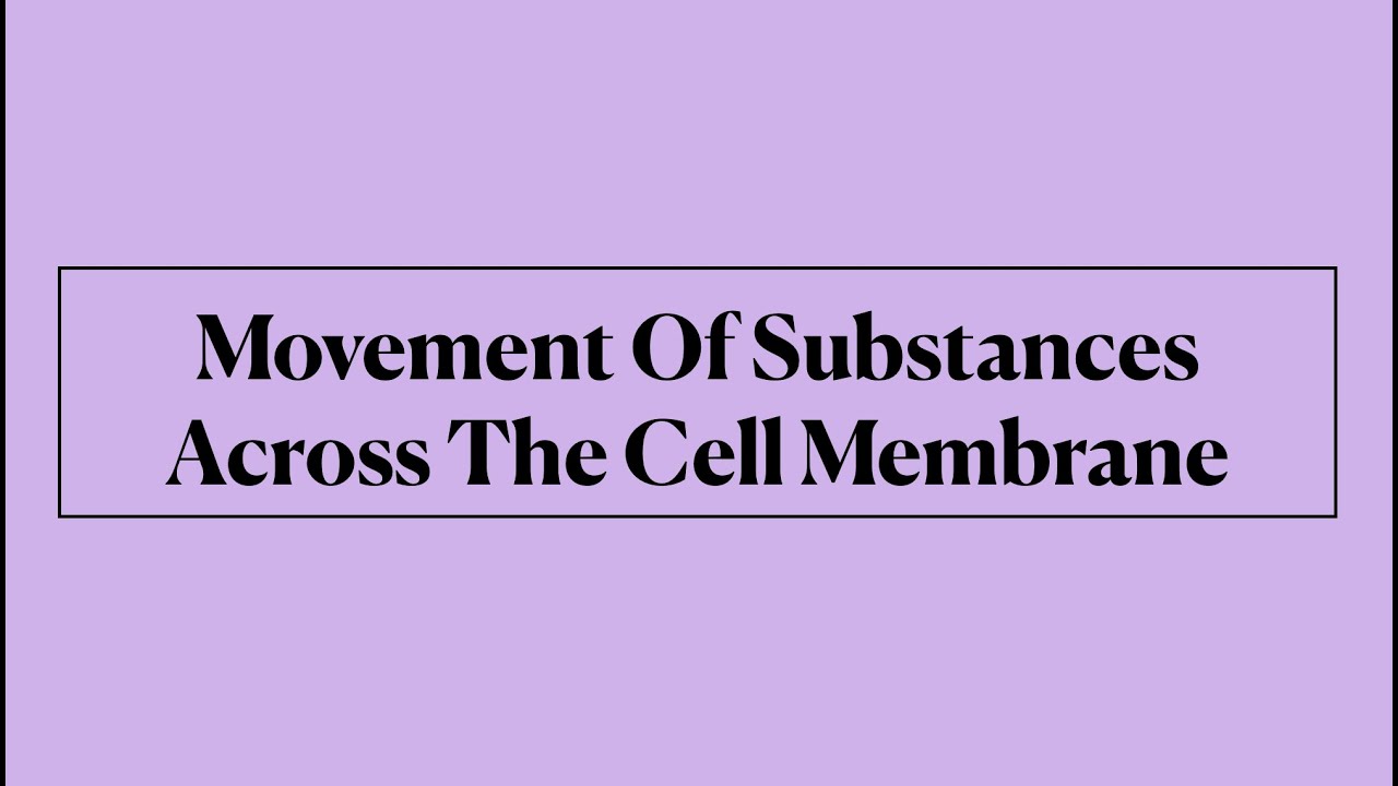 movement of substances across cell membrane ( classified Q 2 ) IGCSE ...