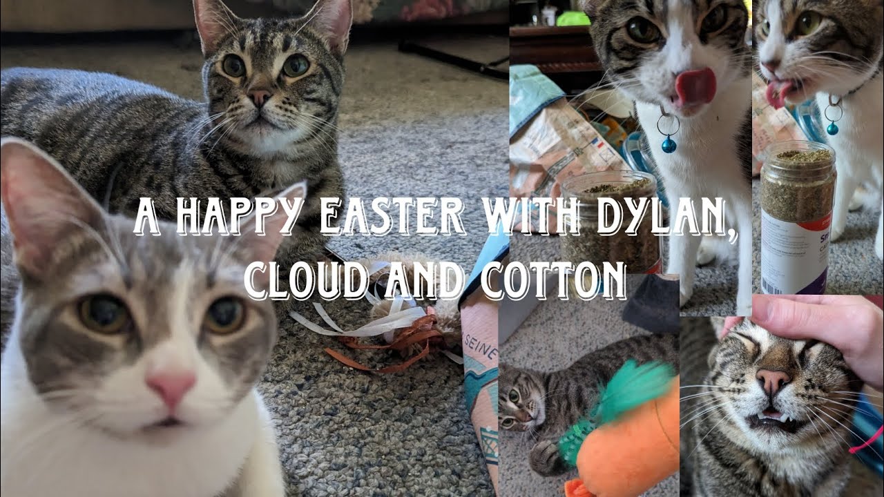 a happy Easter with Dylan, cloud and cotton 🌞 - YouTube