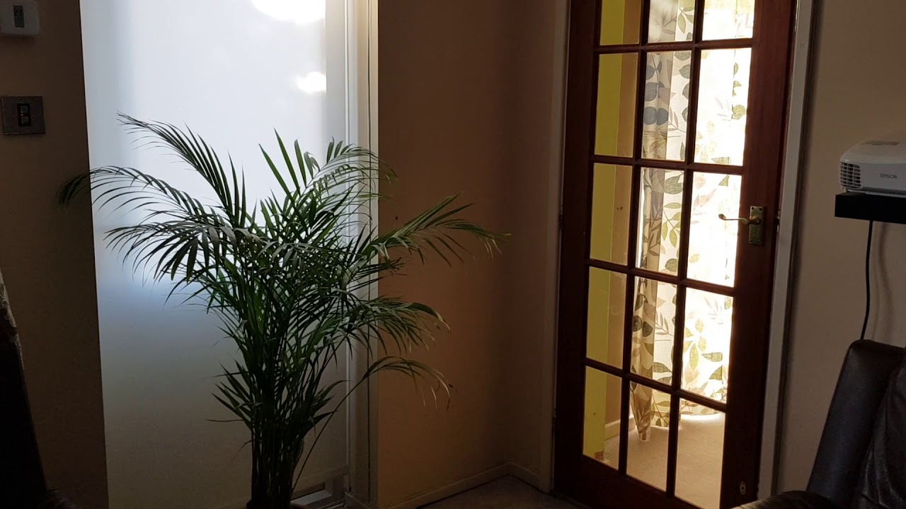 Amazon Alexa controlled curtain blinds, UK - YouTube