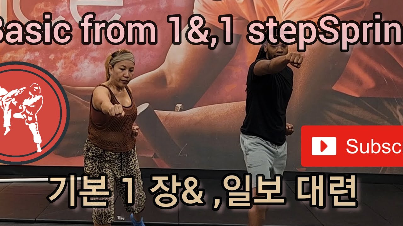 Basic Form 1&1Step Spring 기본 1장&일수식대련 - YouTube