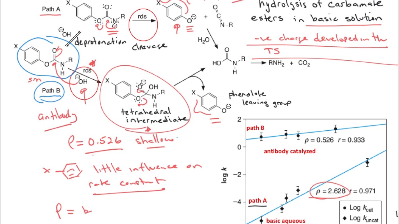 Chem 3404 Hammett Plot Example 6 - YouTube