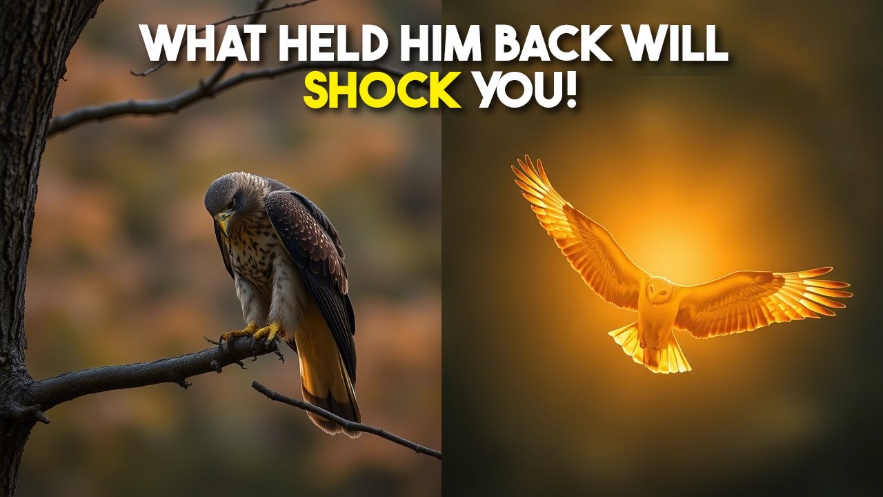 The King and the Two Hawks – A Story of Unlocking Potential (Powerful ...