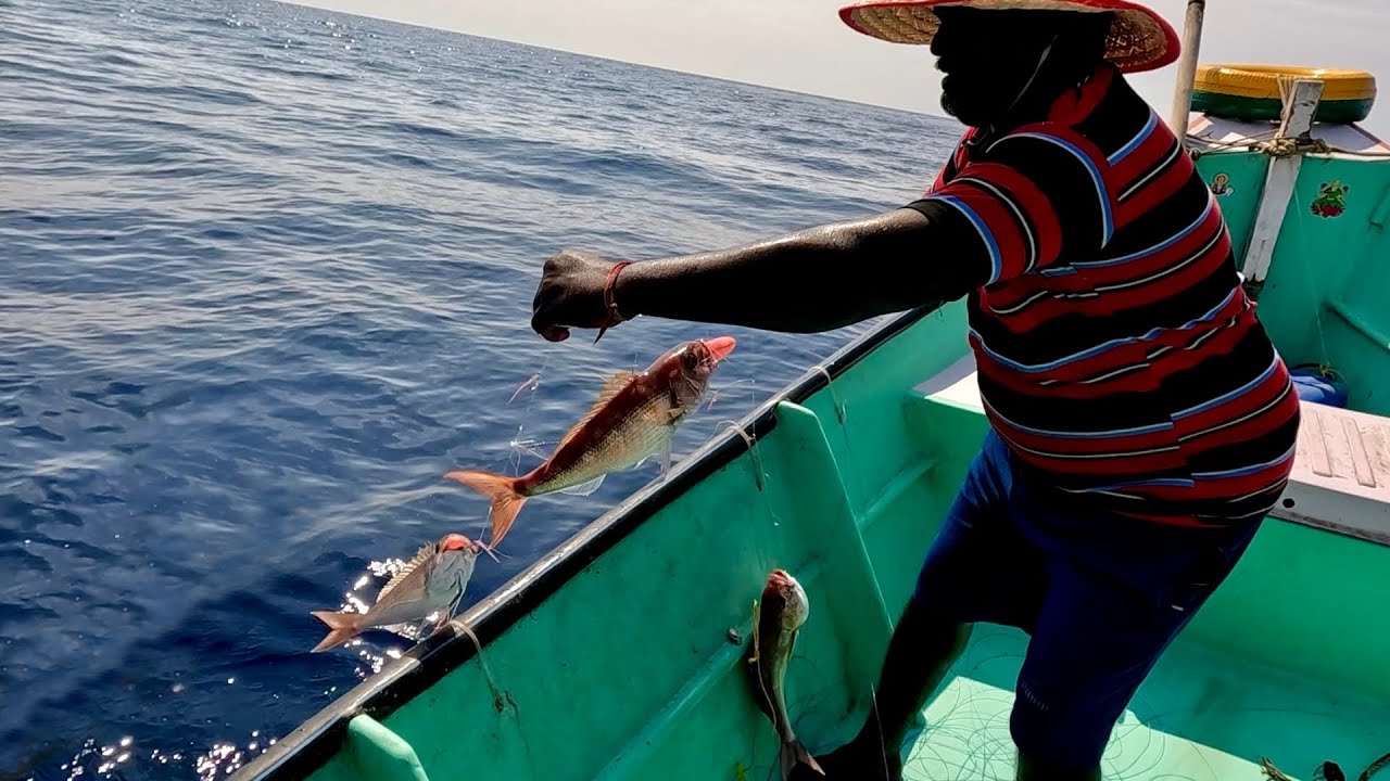 Hand Line Fishing at 250 Feet Deep for Rosy Snapper - YouTube