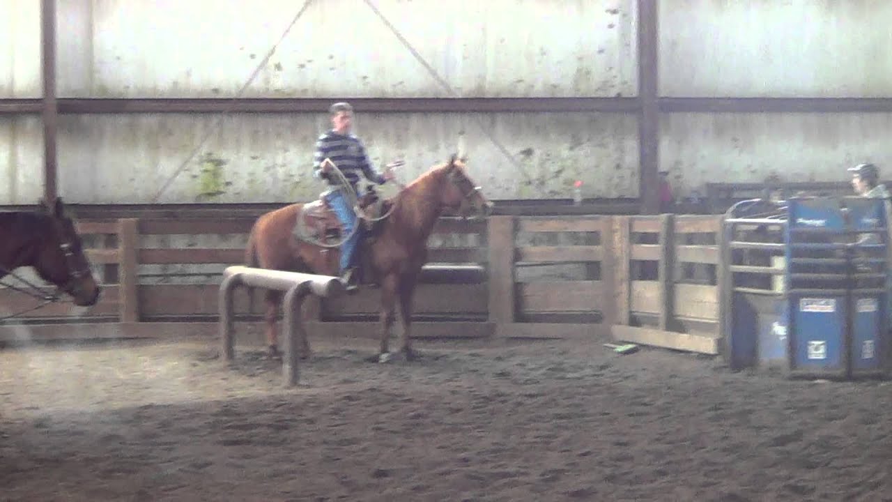 Breakaway/Calf Roping Horse - YouTube