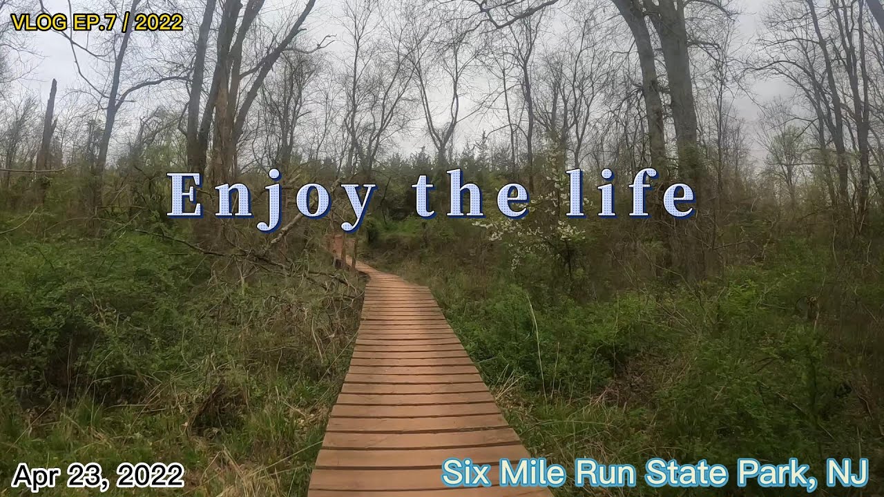 Mountain biking at Six Mile Run State Park, NJ [#GoPro Hero 10] [#MTB ...