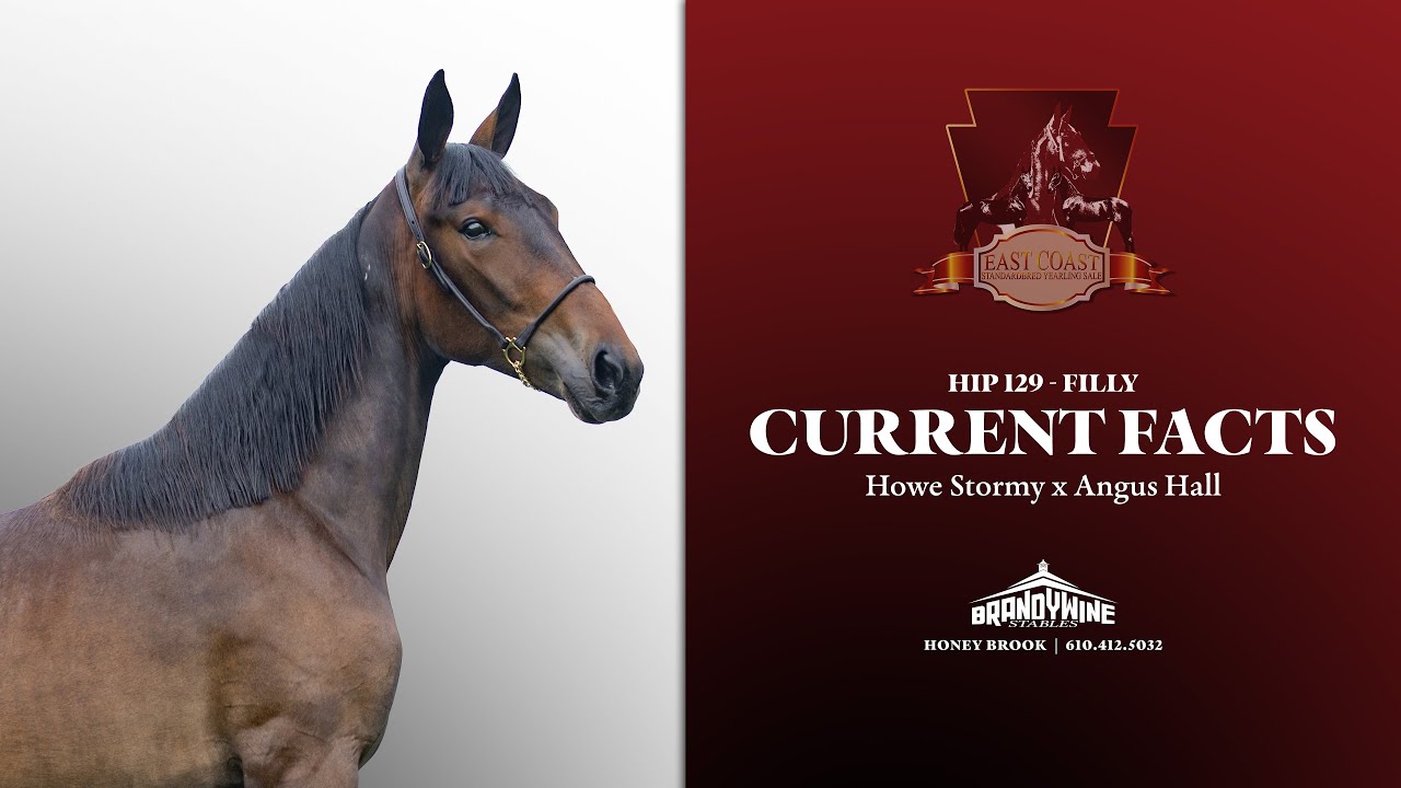 # 129 Howe Stormey- Angus Hall ( filly. @ECSYS - YouTube