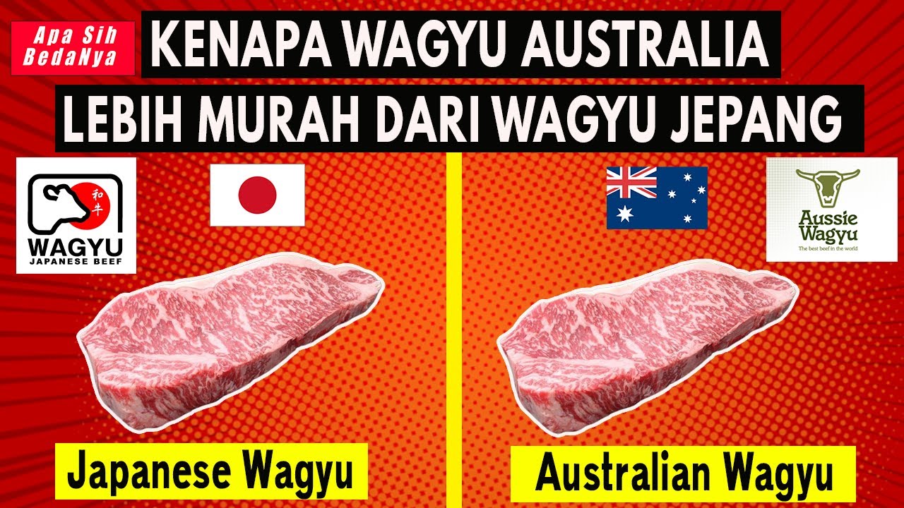 KENAPA WAGYU MAHAL PERBEDAAN DAGING SAPI WAGYU JEPANG DAN AUSTRALIA ...