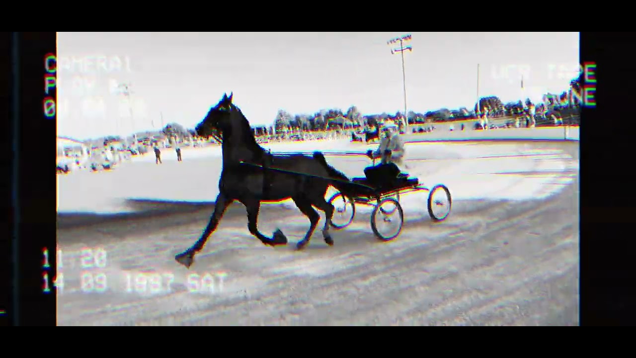 The dark side of horseback riding #stophorseabuse - YouTube