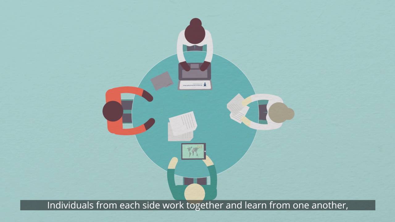 Inside Twinning: How AIHA’s Partnership Model Works - YouTube