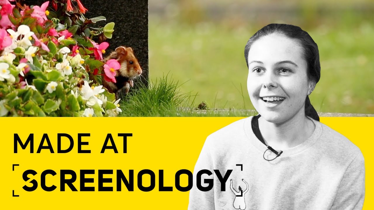 Yaz Ellis - Filming Vienna's Elusive Graveyard Hamsters | Made at ...