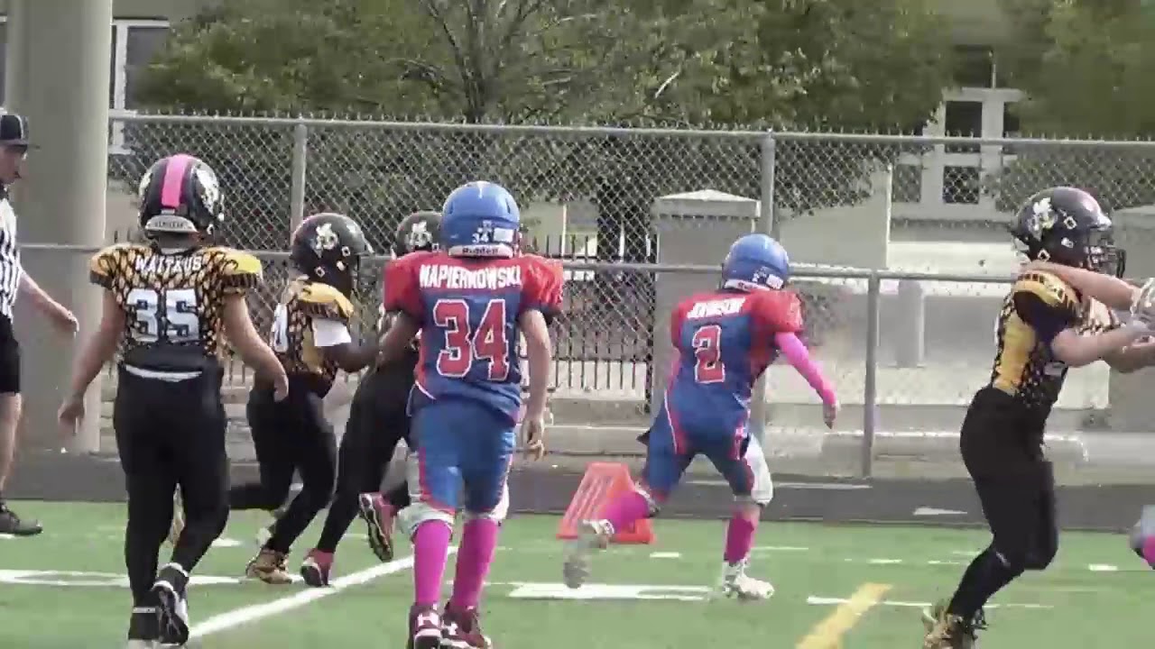 Darien Swarm Football 2017 Highlights - YouTube