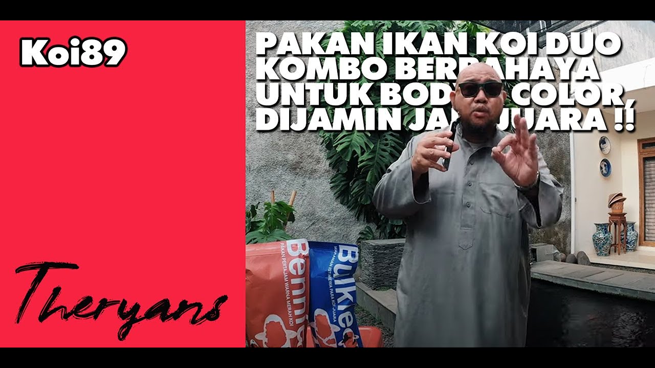 Pakan Ikan Koi Duo Kombo Berbahaya Untuk Body & Color, Dijamin Jadi ...