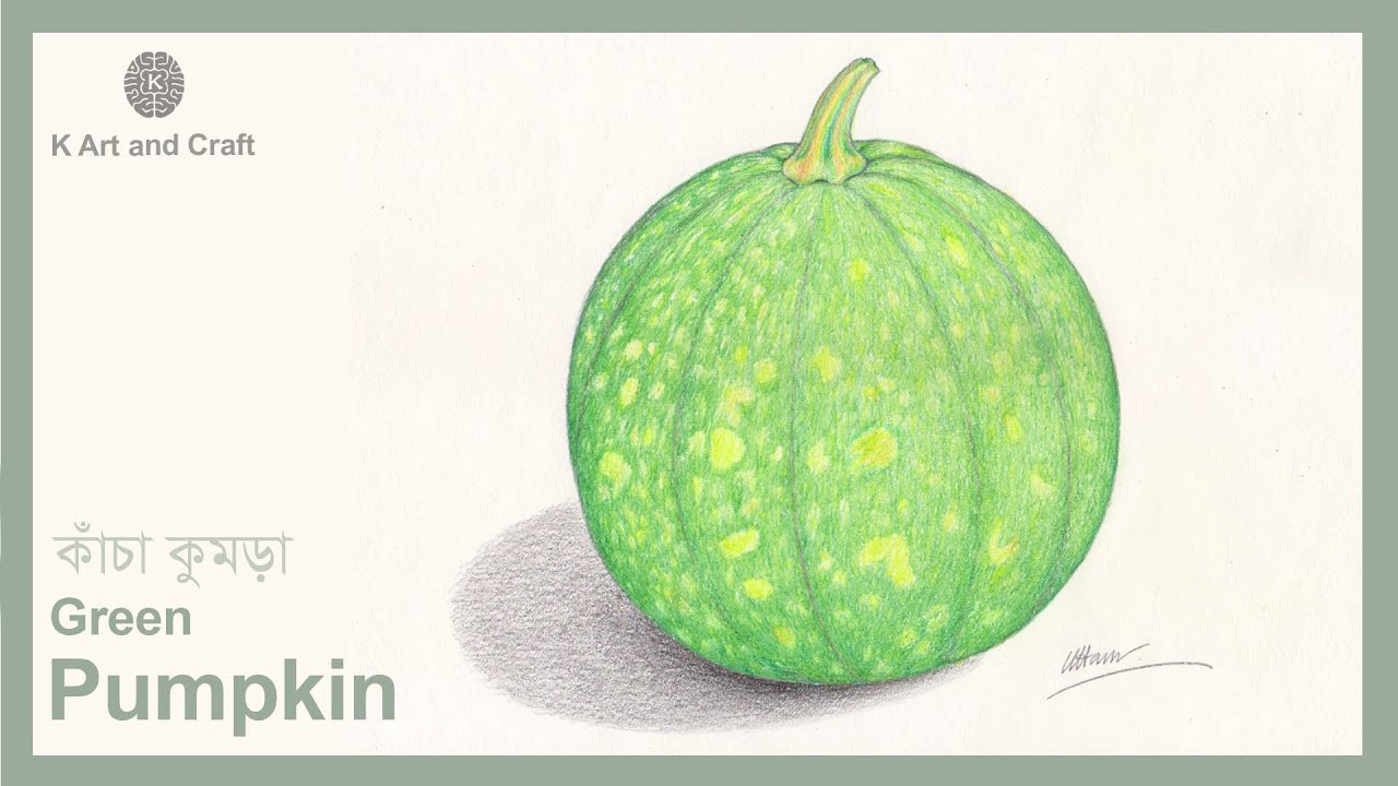 How to draw realistic green pumpkin/ step by step easy pumpkin drawing ...