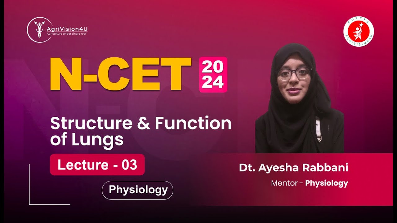 NIN Lecture Series Part-3 | Structure & Function of Lungs | Physiology ...