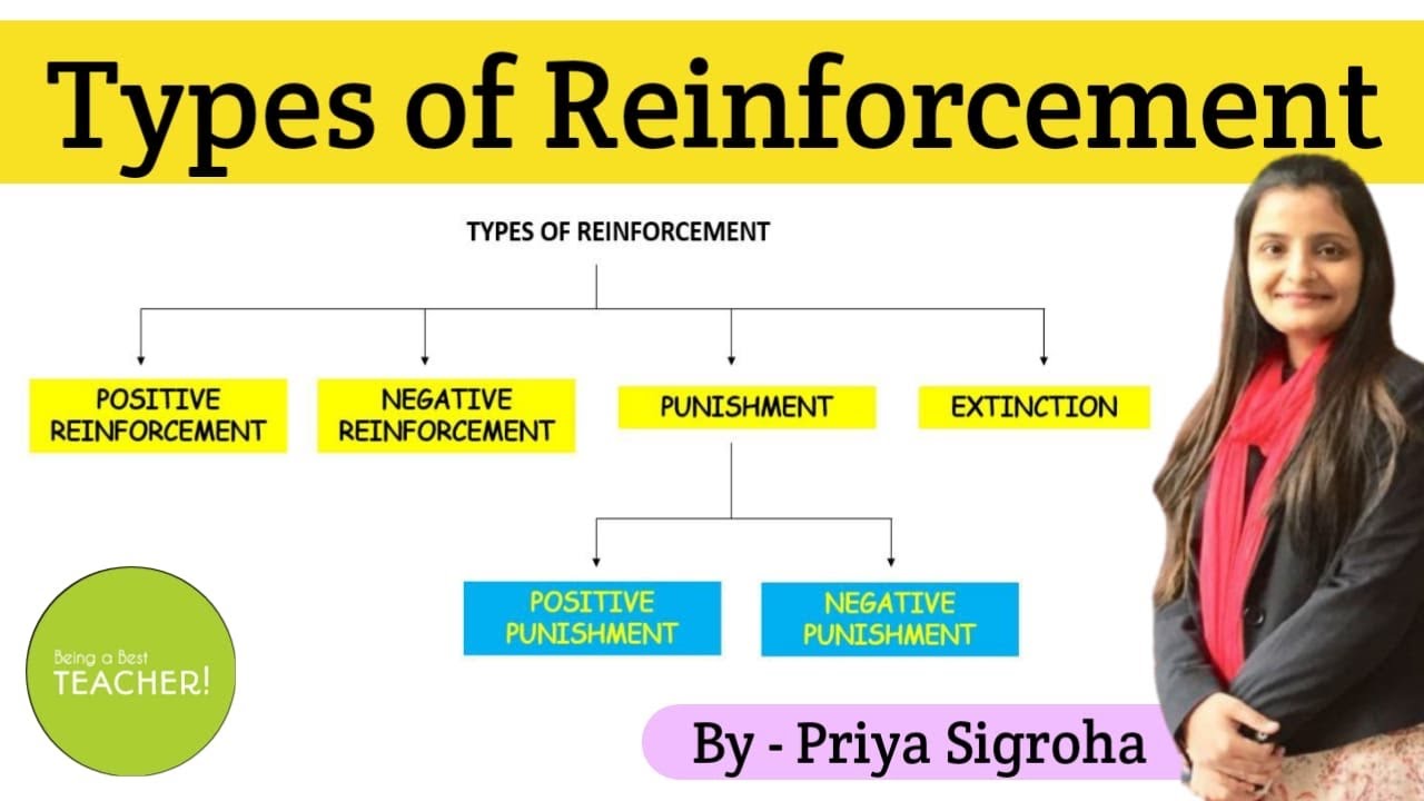 Types of Reinforcement || Childhood and Growing Up || B.Ed. || - YouTube