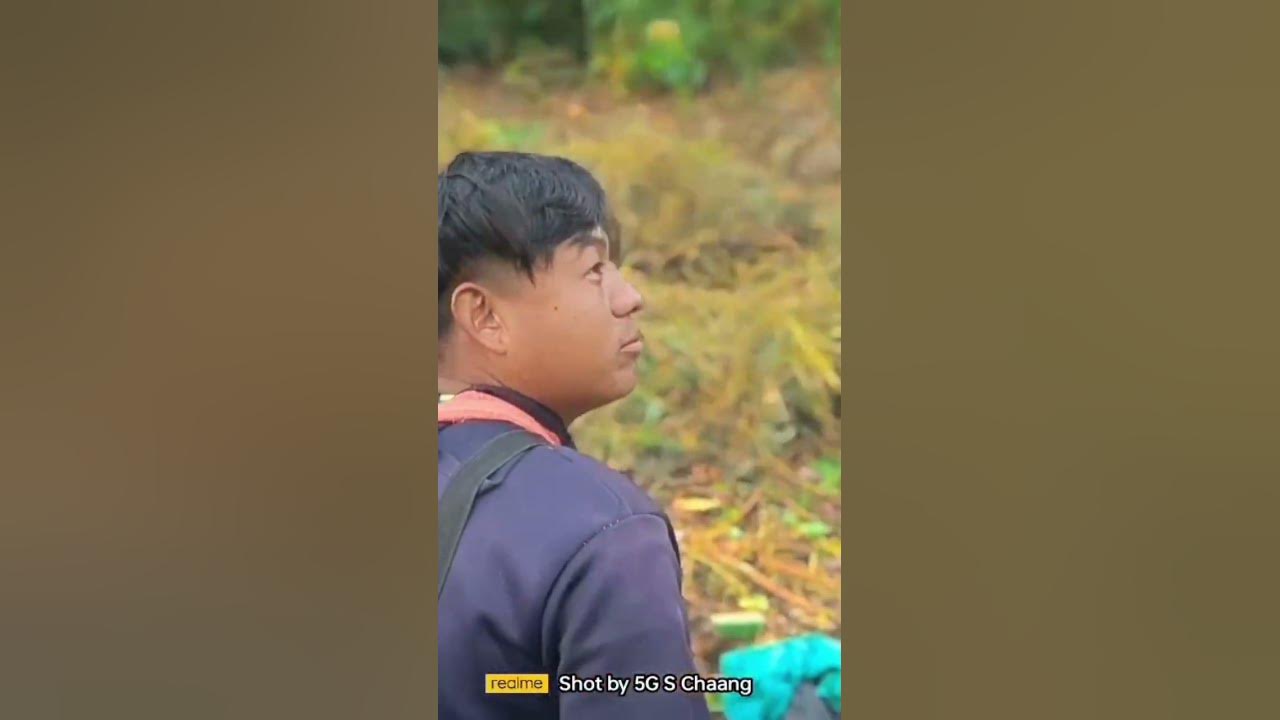 Jungle vlog - YouTube