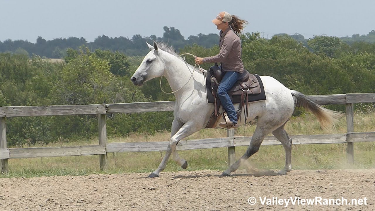SP Lady Grace - riding bridleless! - ValleyViewRanch.net - YouTube