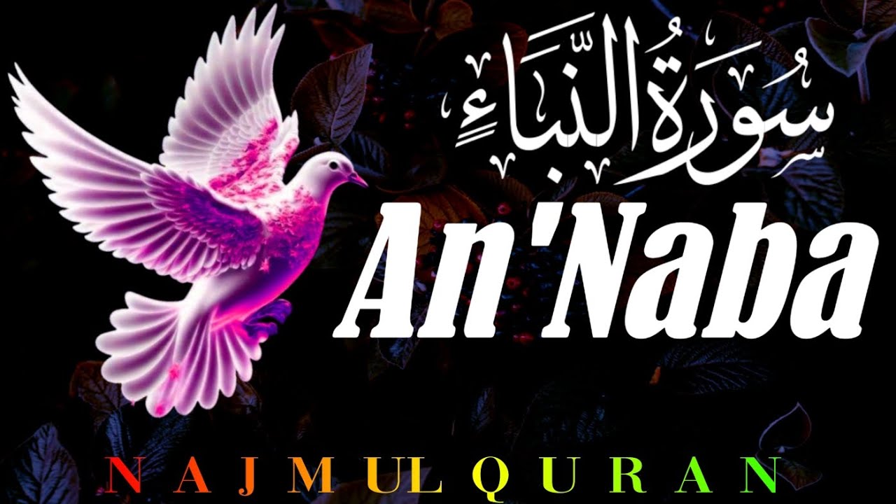 Surah An Naba Recitation Pani Patti Tilawat Surah Naba Full Hafiz umar