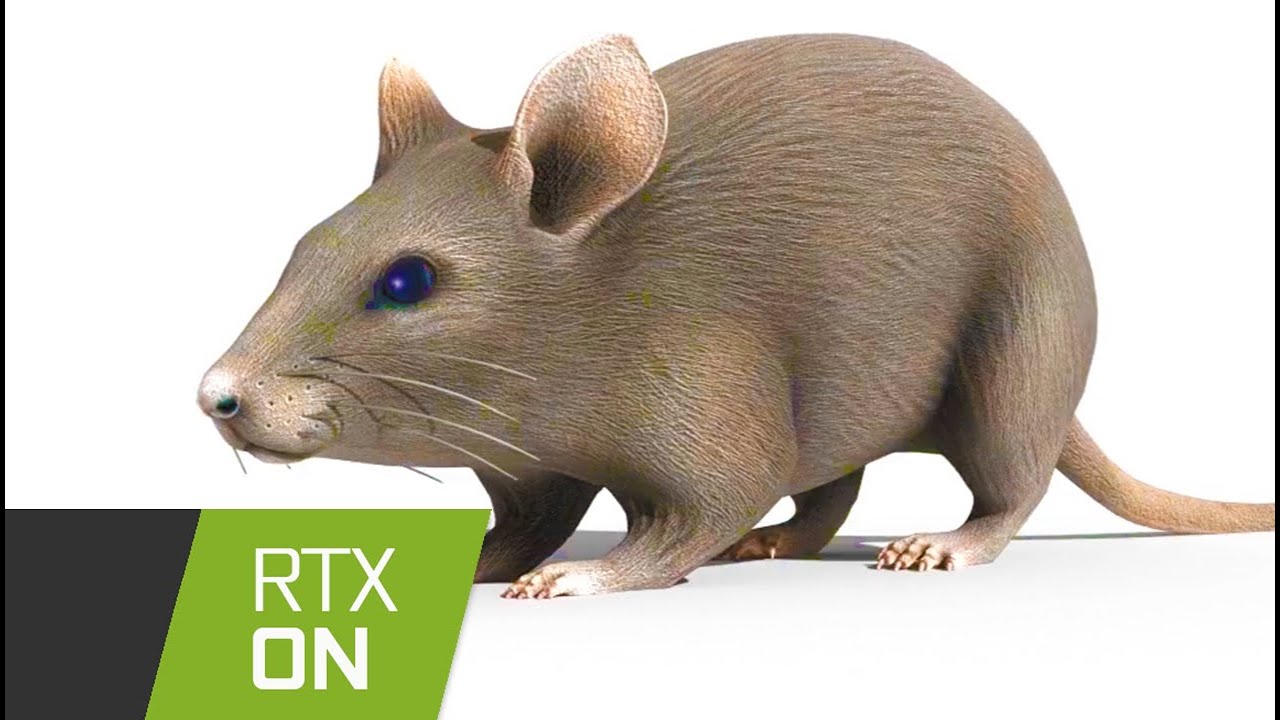 RTX horizontally spinning rat - YouTube