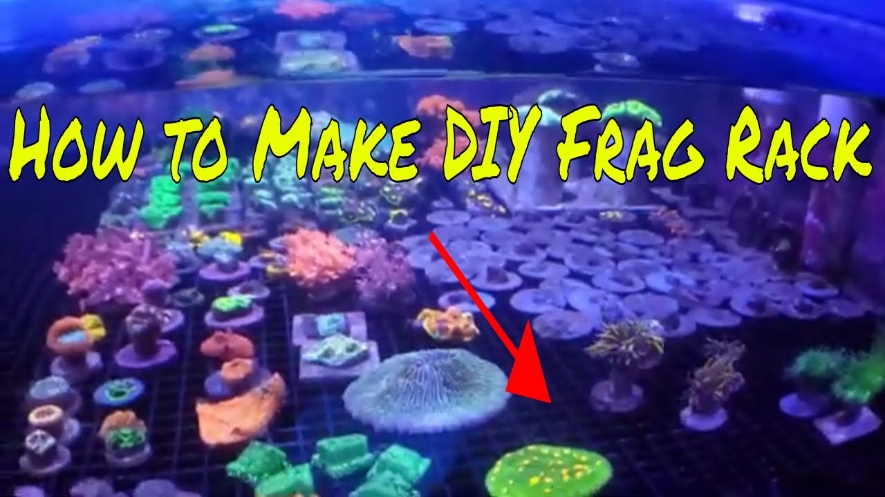 DIY Egg Crate Frag Rack - YouTube