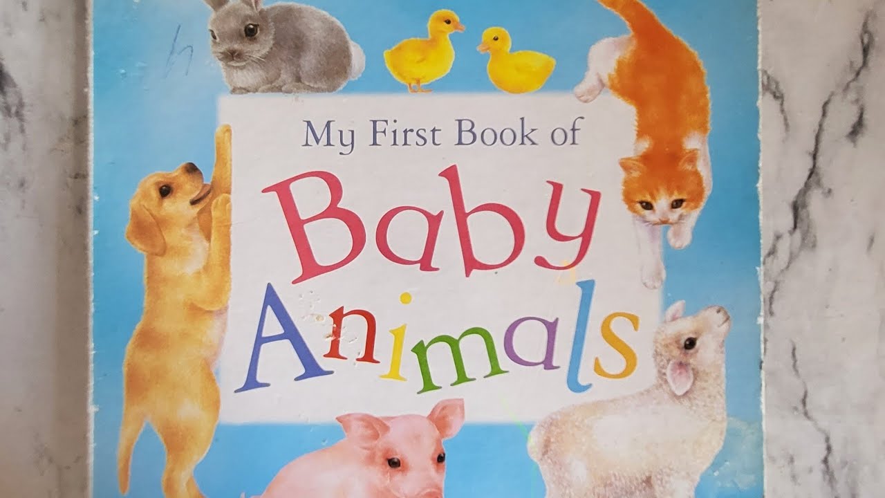 Kids Read Aloud Story Book #62: My First Book of Baby Animals - YouTube