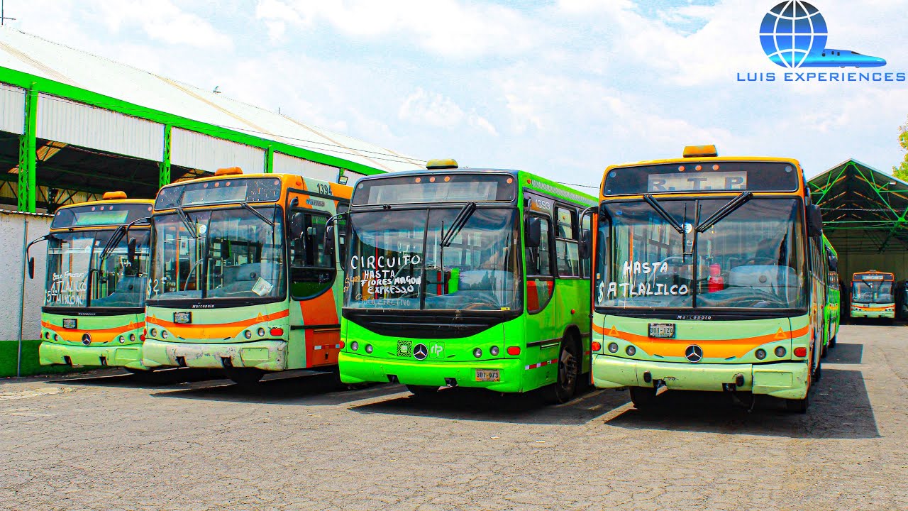Visita de Autobuses Urbanos Red de Transporte de Pasajeros RTP Ciudad ...