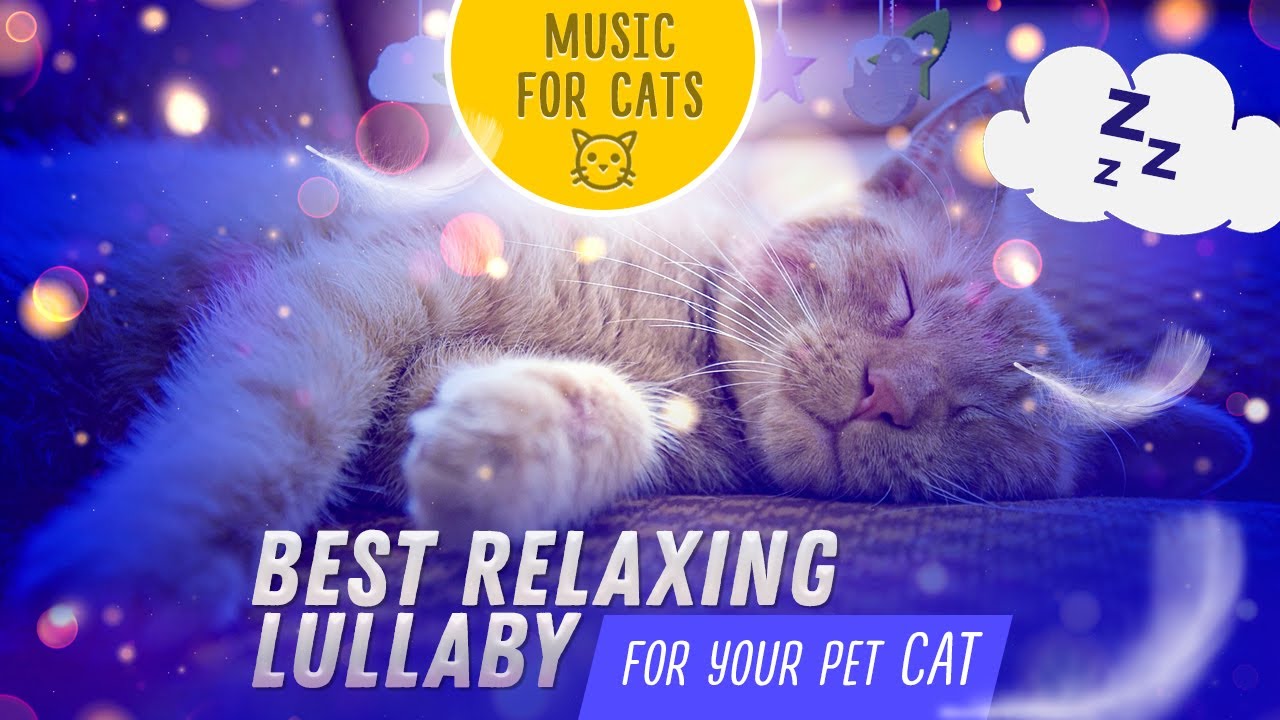CAT LULLABY music 1 hour 💤 BEST MUSIC FOR CATS to sleep 💤 relax my cat ...