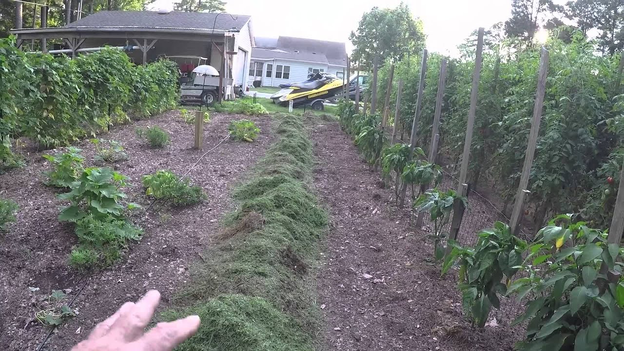 MULCHING FOR WEED CONTROL IN GARDEN - YouTube