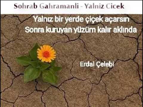 Sohrab Gahramanli - Yalniz Cicek ( Cover )