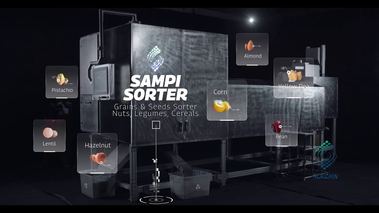 Decoding the Brain of the Sampi Sorter: AI Precision in Agricultural ...
